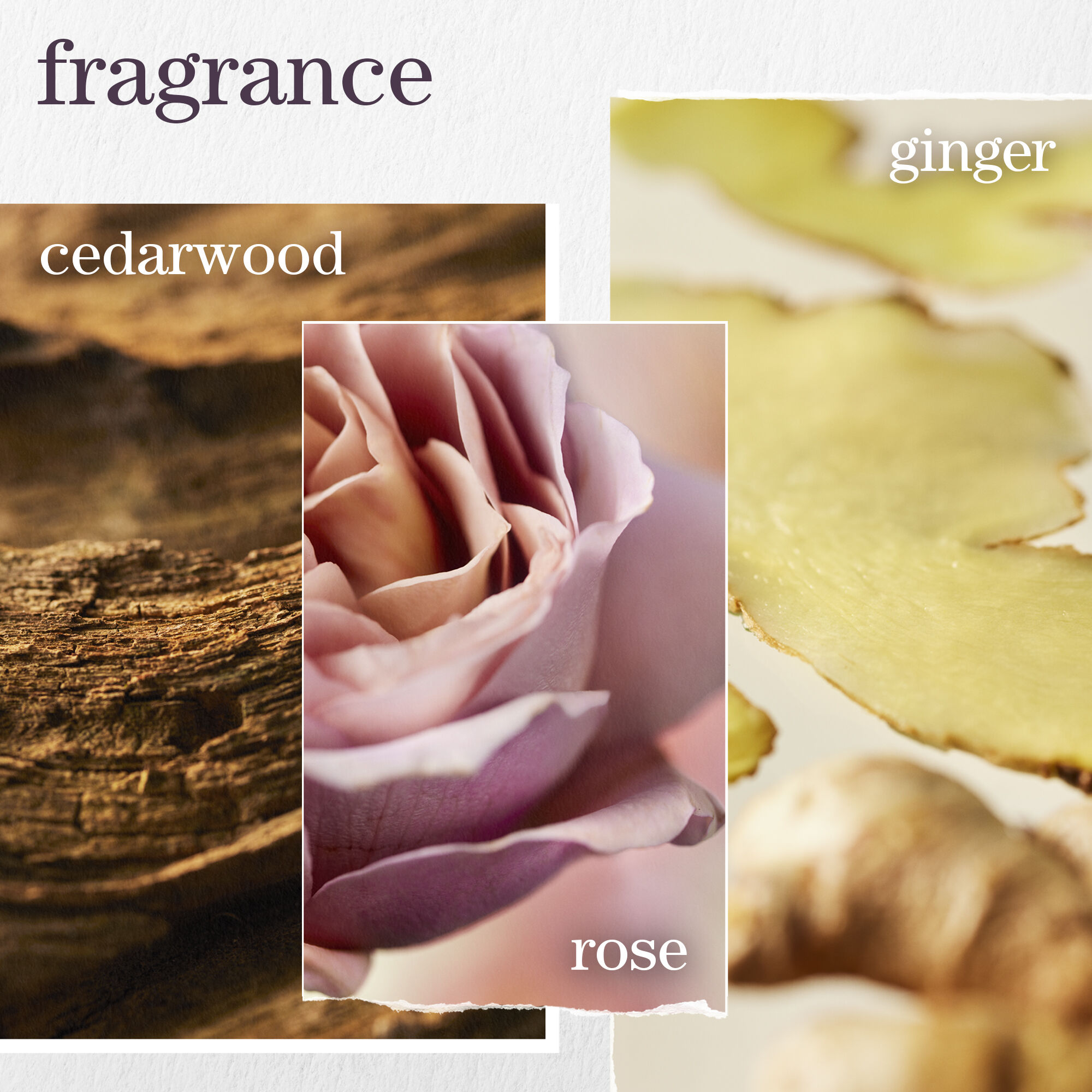 Color Fanatic Leave-In Hair Treatment Spray - Pureology