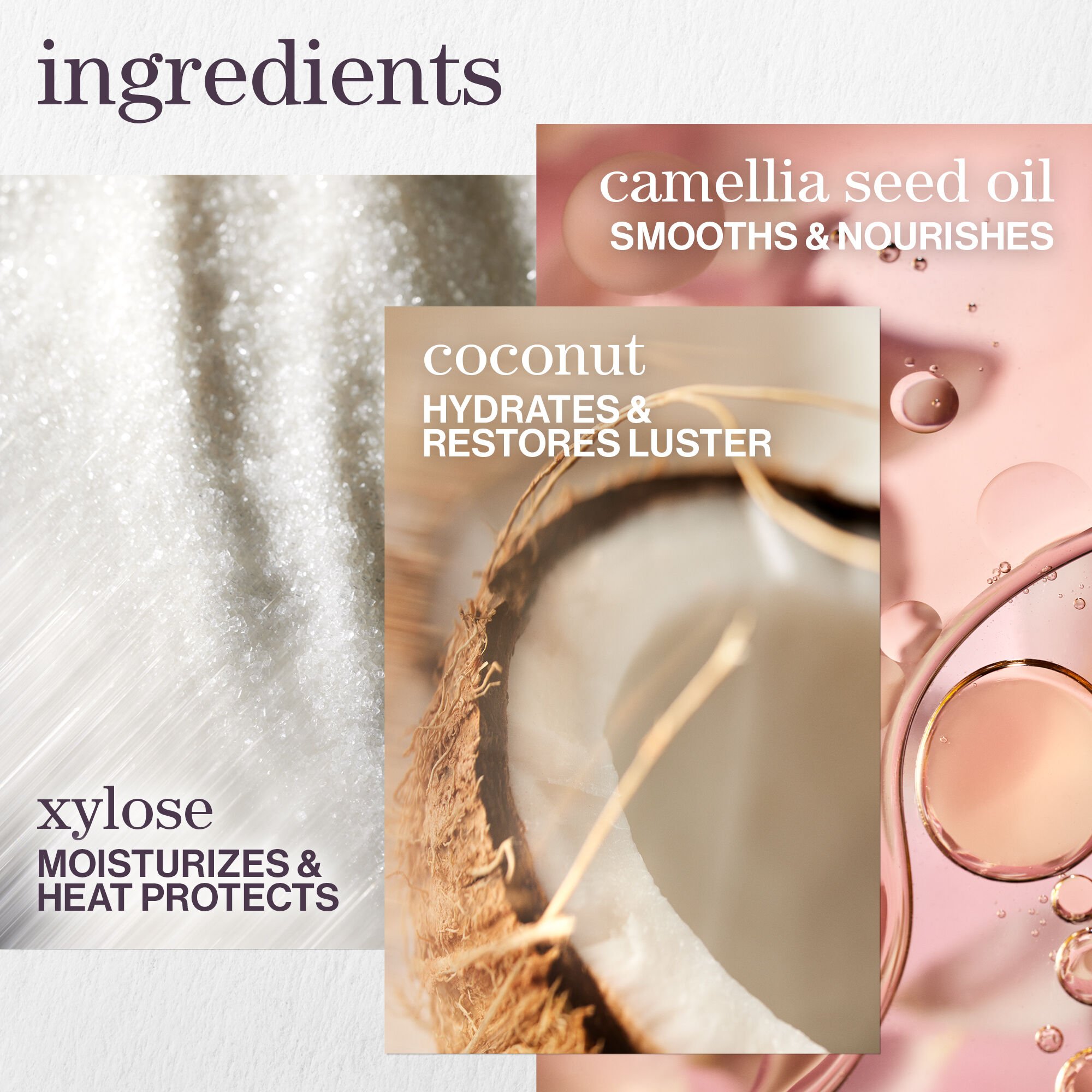 Color Fanatic Leave-In Hair Treatment Spray - Pureology