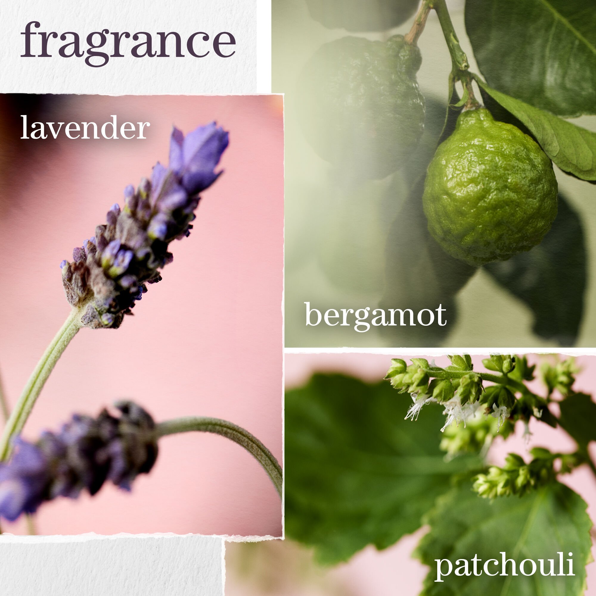 Hydrate Glow Catcher Oil - Hydration & Shine | Pureology